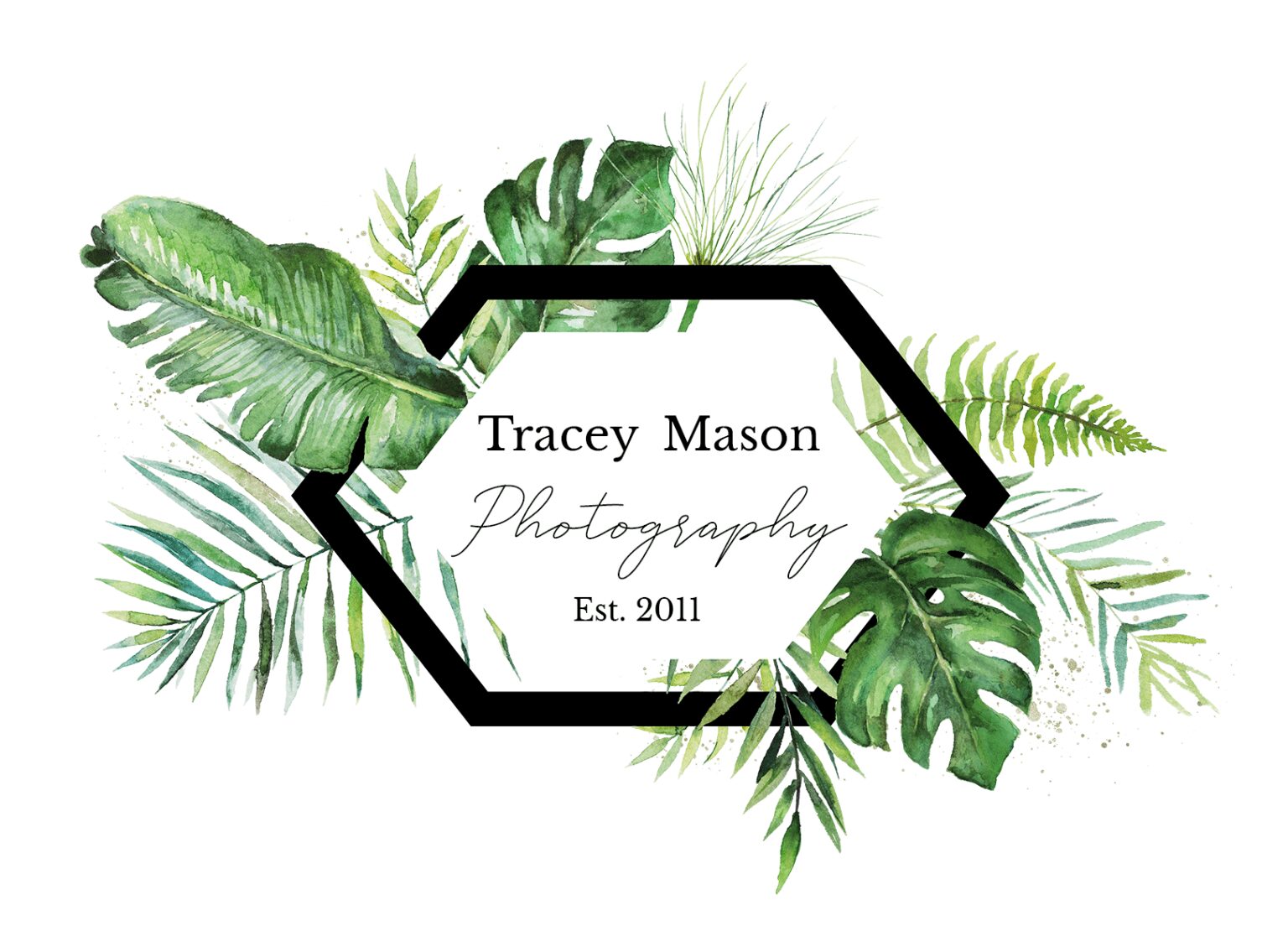 Home - Southwest Florida Luxury Portrait Photographer | Tracey Mason ...